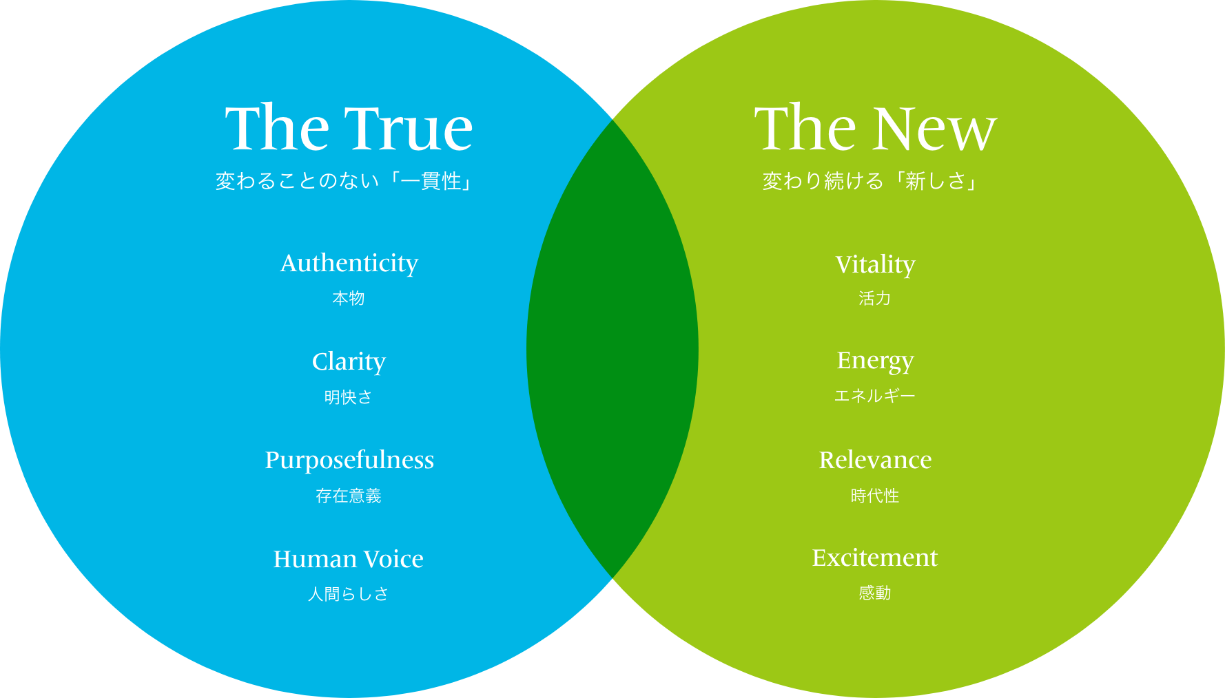 アクサムのブランディングメソドロジー | AXHUM